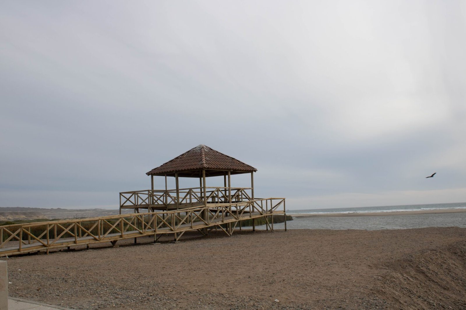 Desembocadura del río Copiapó - Descubre Atacama